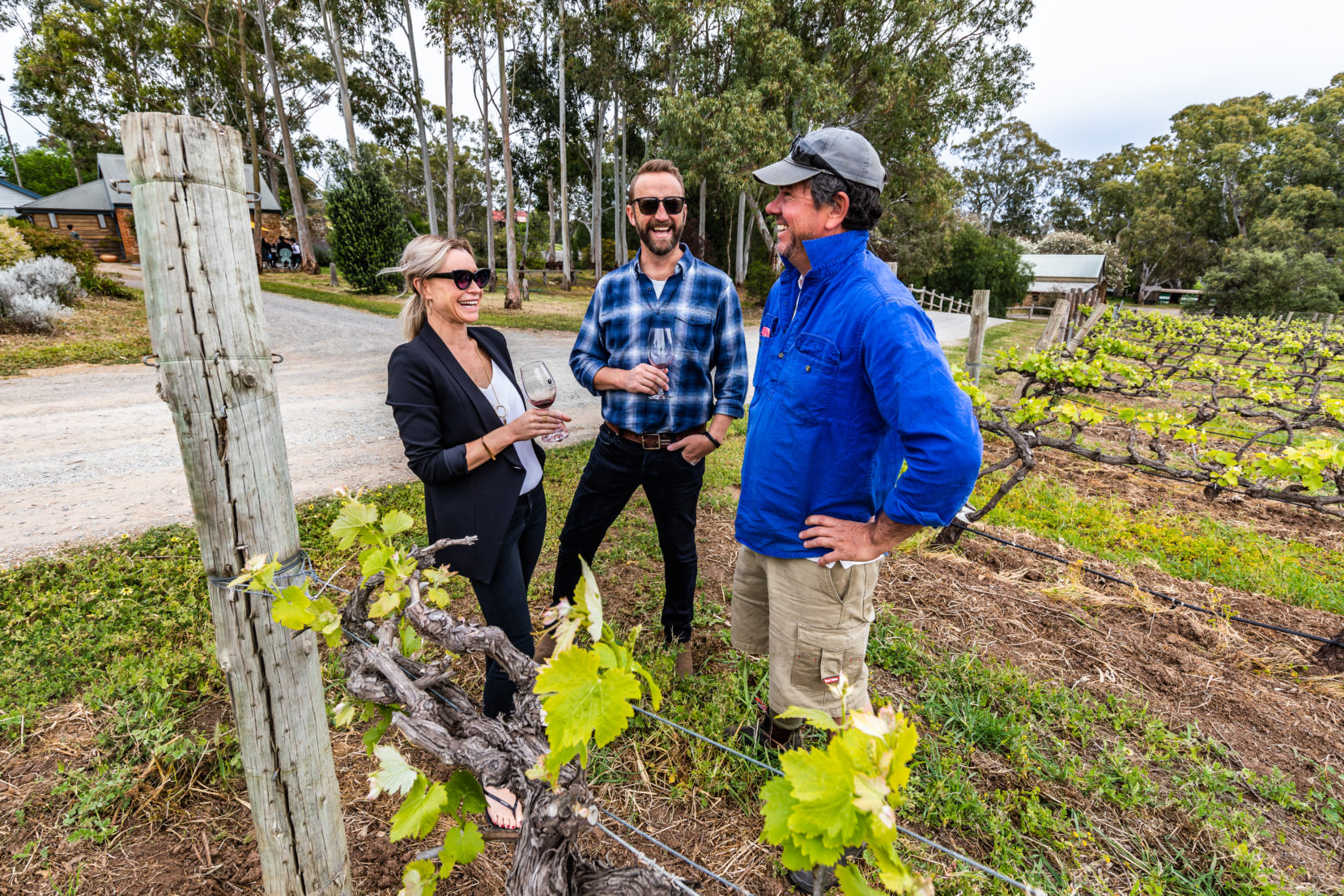 Ultimate Barossa Valley Wine Tour | Coast & Co