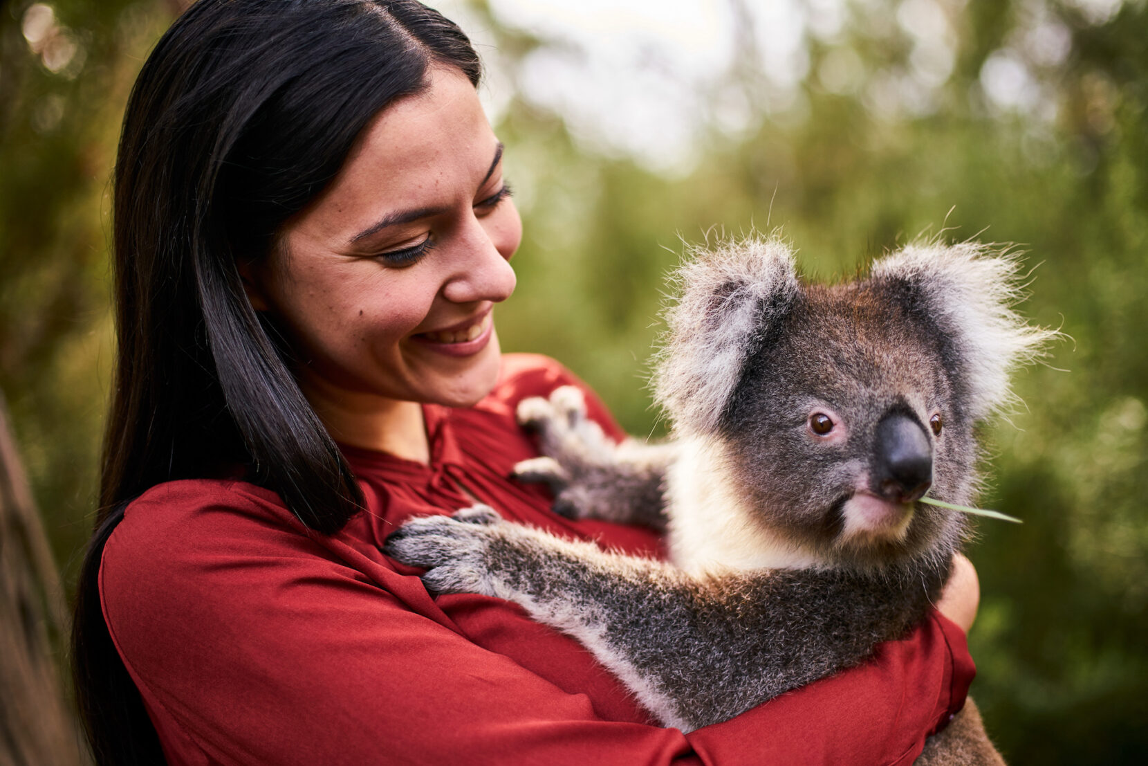 Adelaide City Tours | Coast & Co